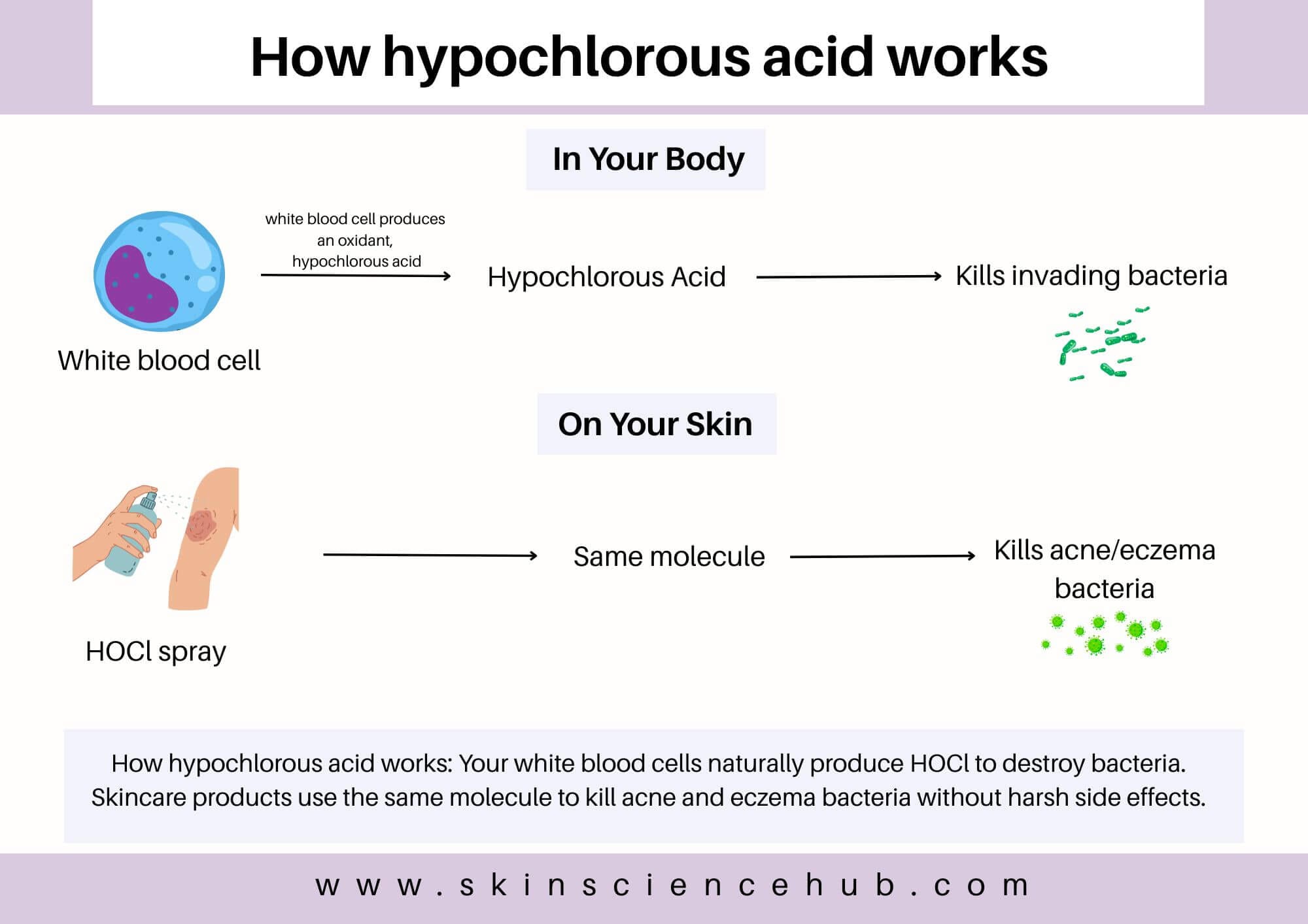 Hypochlorous Acid for Skin: Eczema, Acne and Sensitive Skin